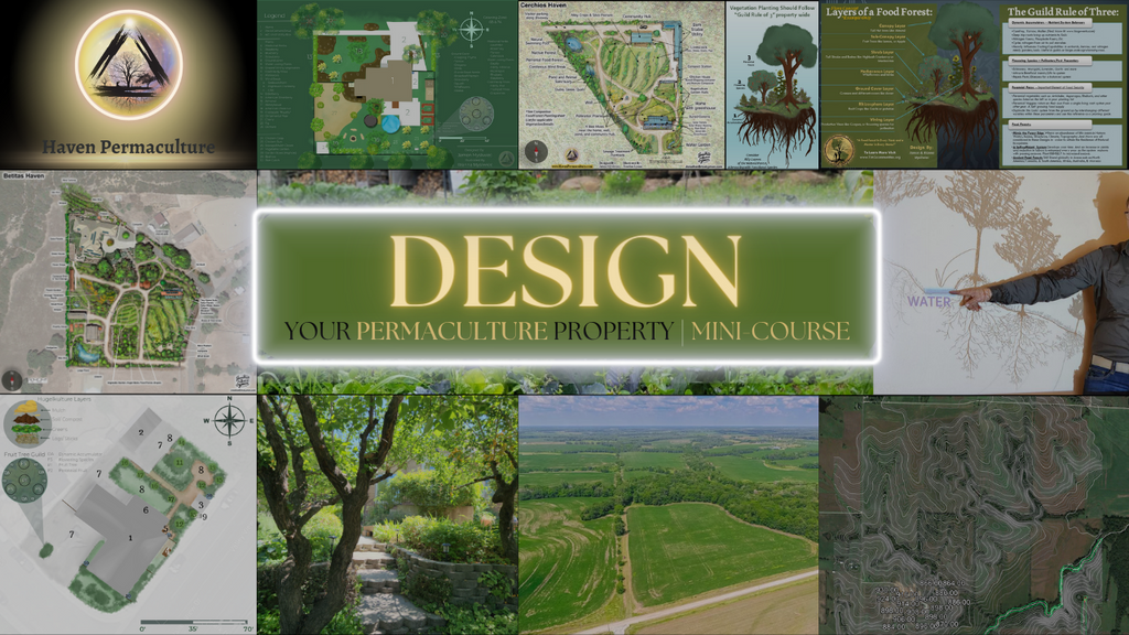 Property Master Plan Program - 1st Year Permaculture Design – Lulus Garden